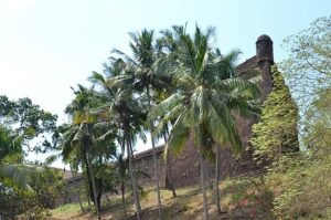Reis Magos Fort, Goa: A Historical and Scenic Attraction - E India Tourism