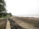 Dahanu Beach, Dahanu: A Calm and Clean Place to Enjoy the Arabian Sea ...