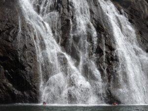 Dudhsagar Falls, Goa: A Spectacular and Majestic Waterfall - E India ...