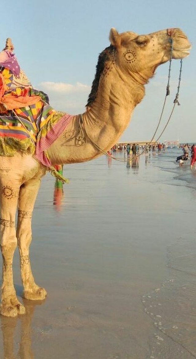 Mandavi Beach Ratnagiri: A Lively and Vibrant Beach of Ratnagiri - E ...