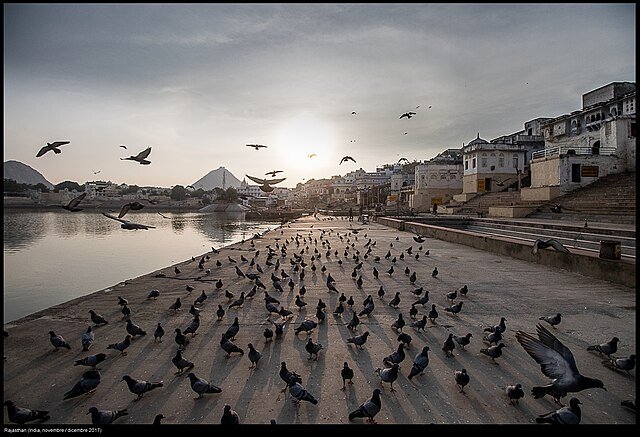 Pushkar Lake: Famous Tourist Attraction in Pushkar - E India Tourism