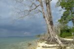 Elephant Beach: Best Exquisite Marine Paradise - E India Tourism