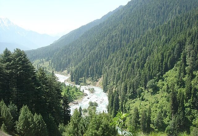 Aru Valley: Best Kashmir’s Scenic Gem - E India Tourism