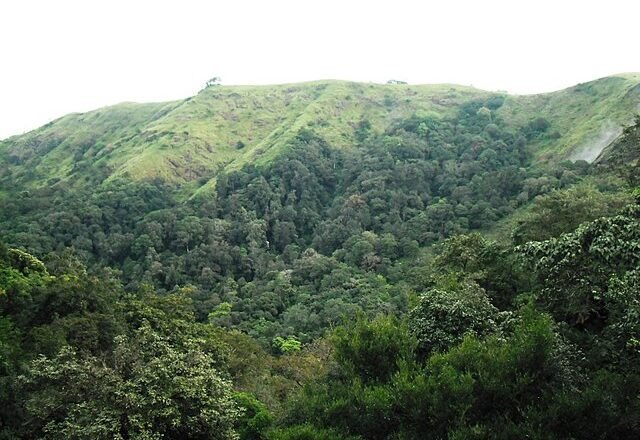 Idukki Wildlife Sanctuary: The Pristine Wilderness of Kerala - E India ...