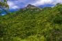 Shevaroy Hills: Famous Scenic Oasis in Yercaud - E India Tourism