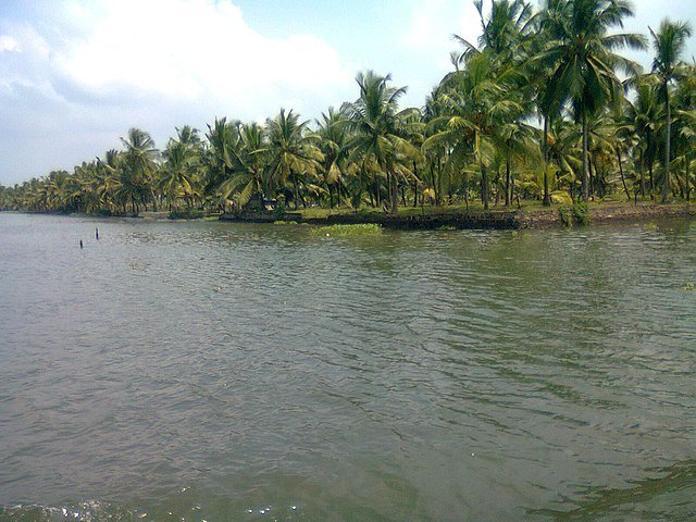 Discover the Serenity of Vembanad Lake - E India Tourism