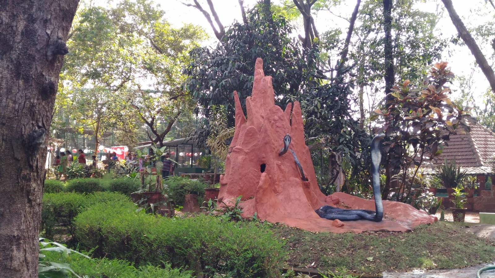 Discover the Wonders of Snake Park in Kannur - E India Tourism